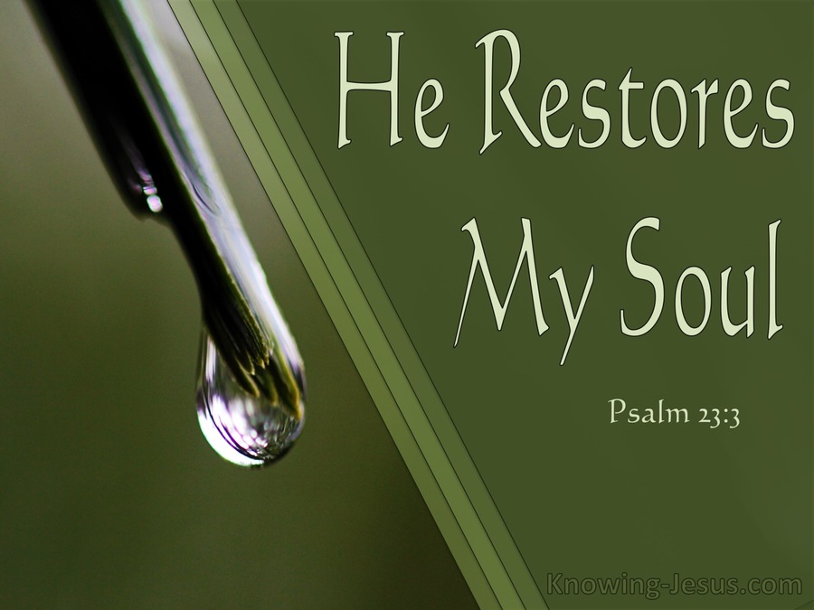 Psalm 23 3 He Restores My Soul sage 